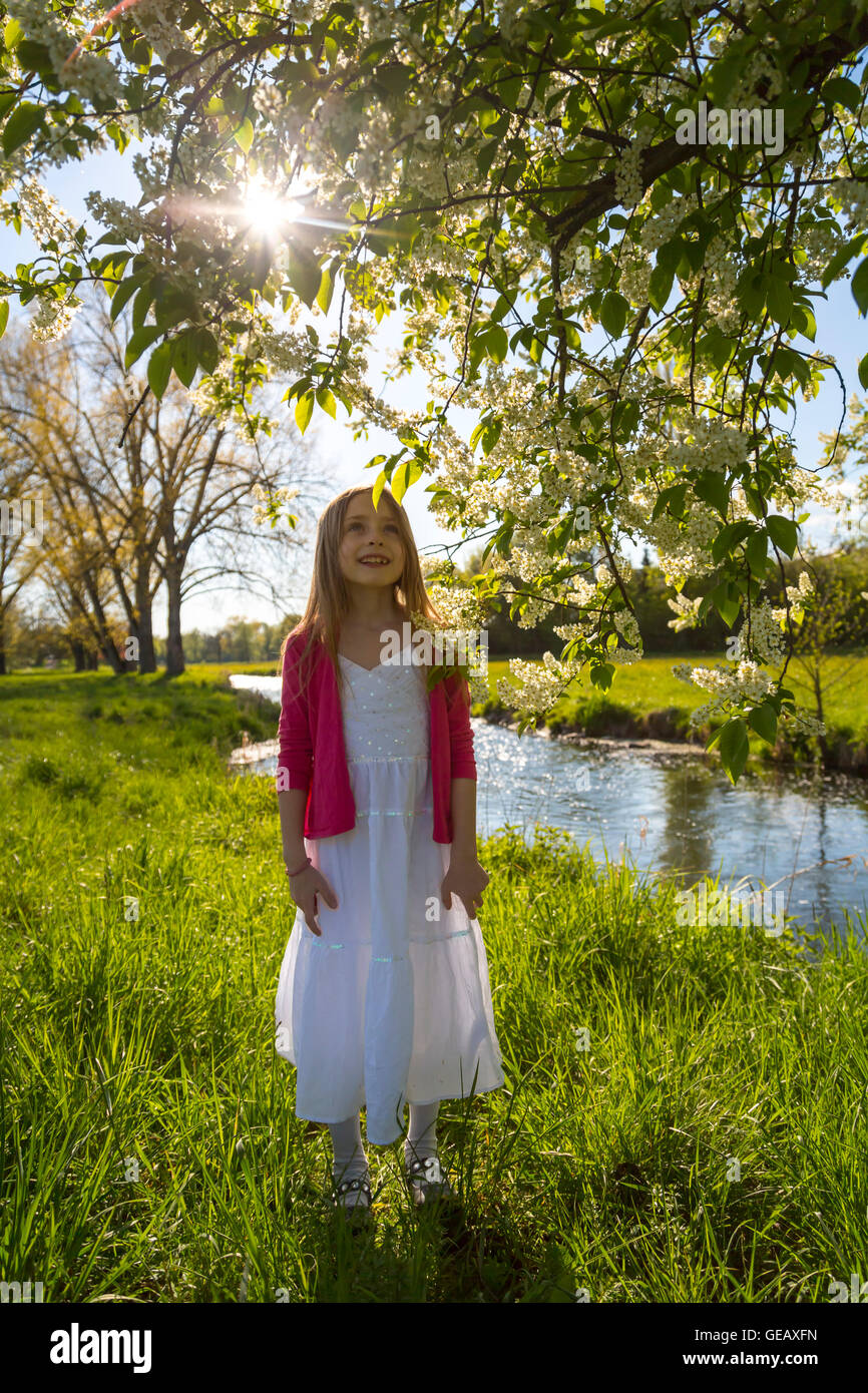 Girl standing on a meadow looking up to a tree Stock Photo - Alamy