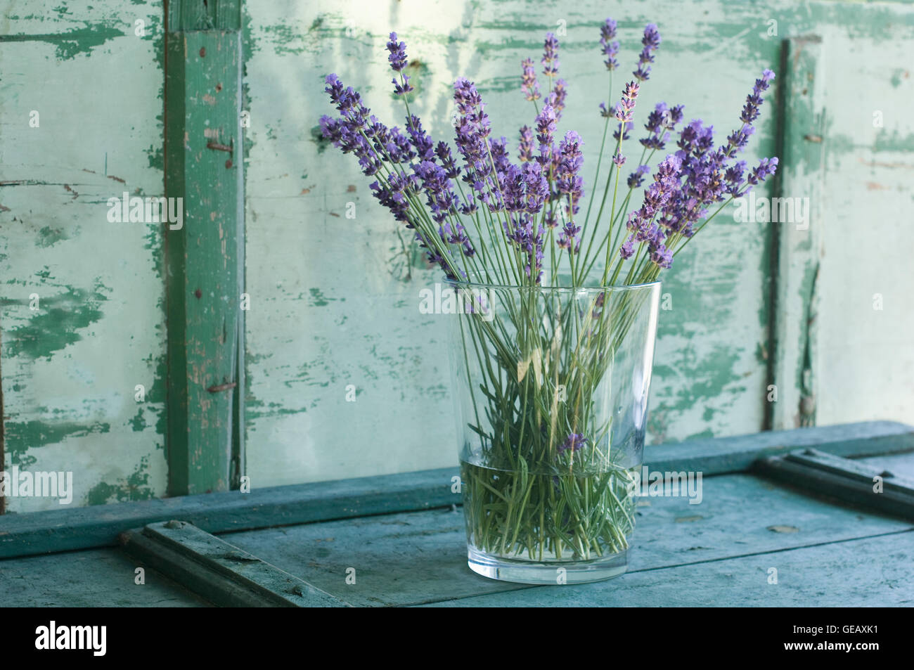 Flower bunch in glass hi-res stock photography and images - Alamy
