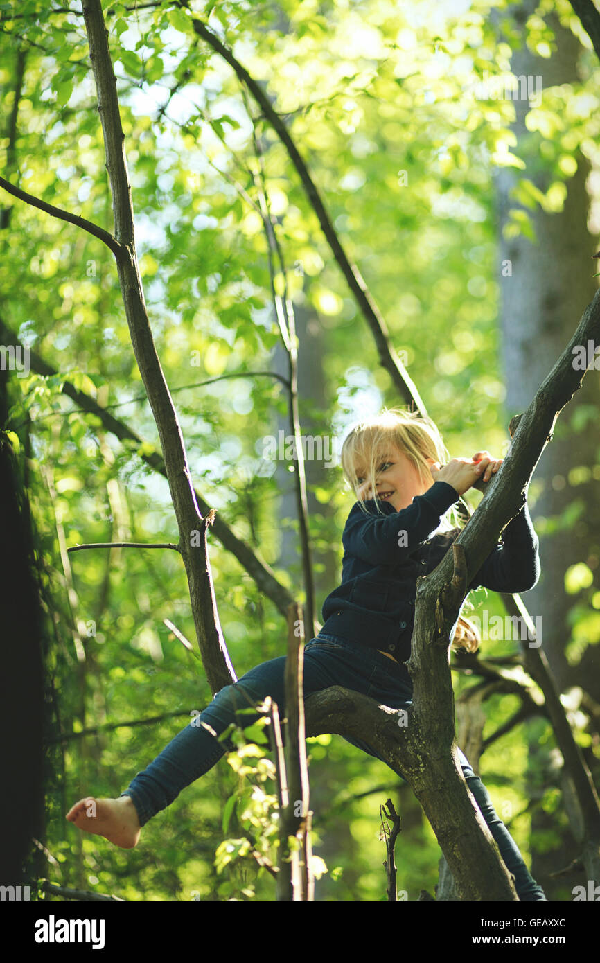 Girl in forest climbing in tree Stock Photo - Alamy