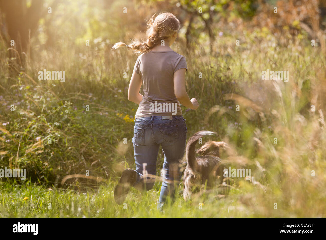 Back view of young woman running after her dog on a meadow Stock Photo ...