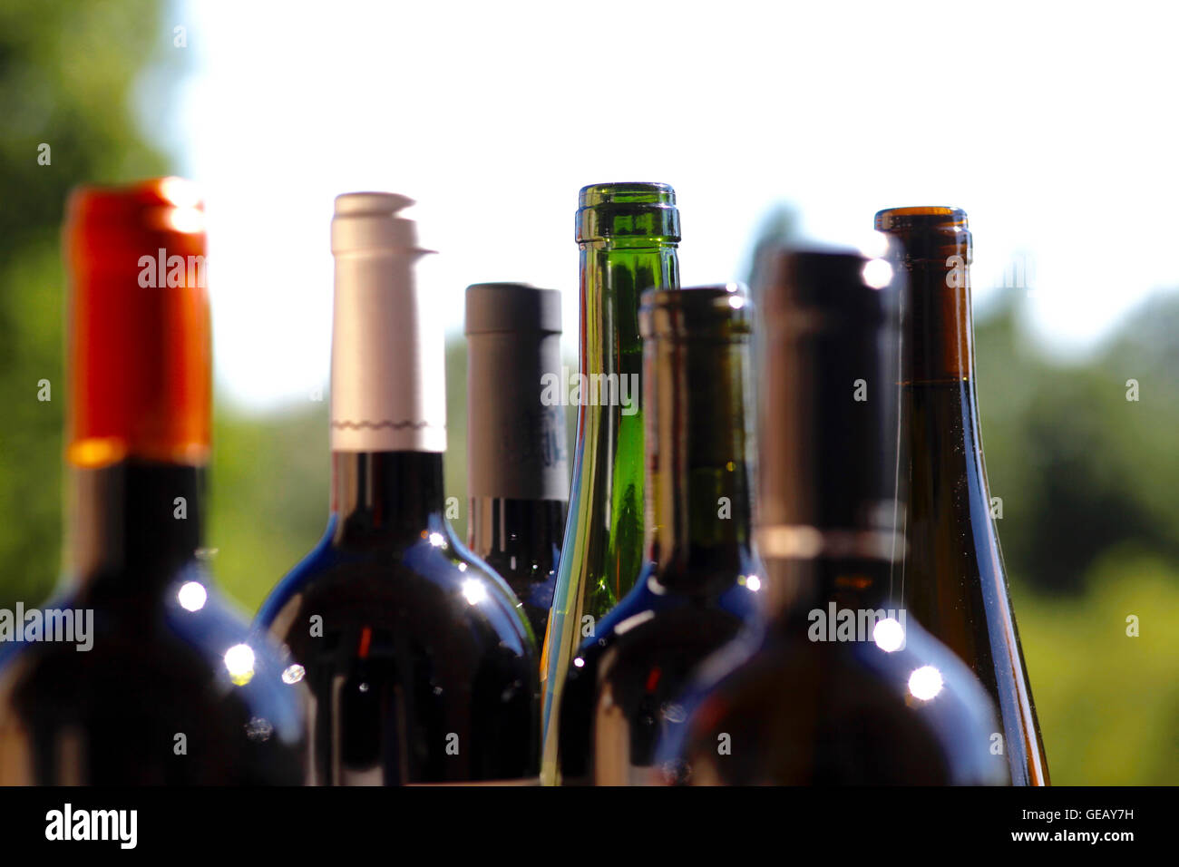 Germany, row of different wine bottles Stock Photo - Alamy
