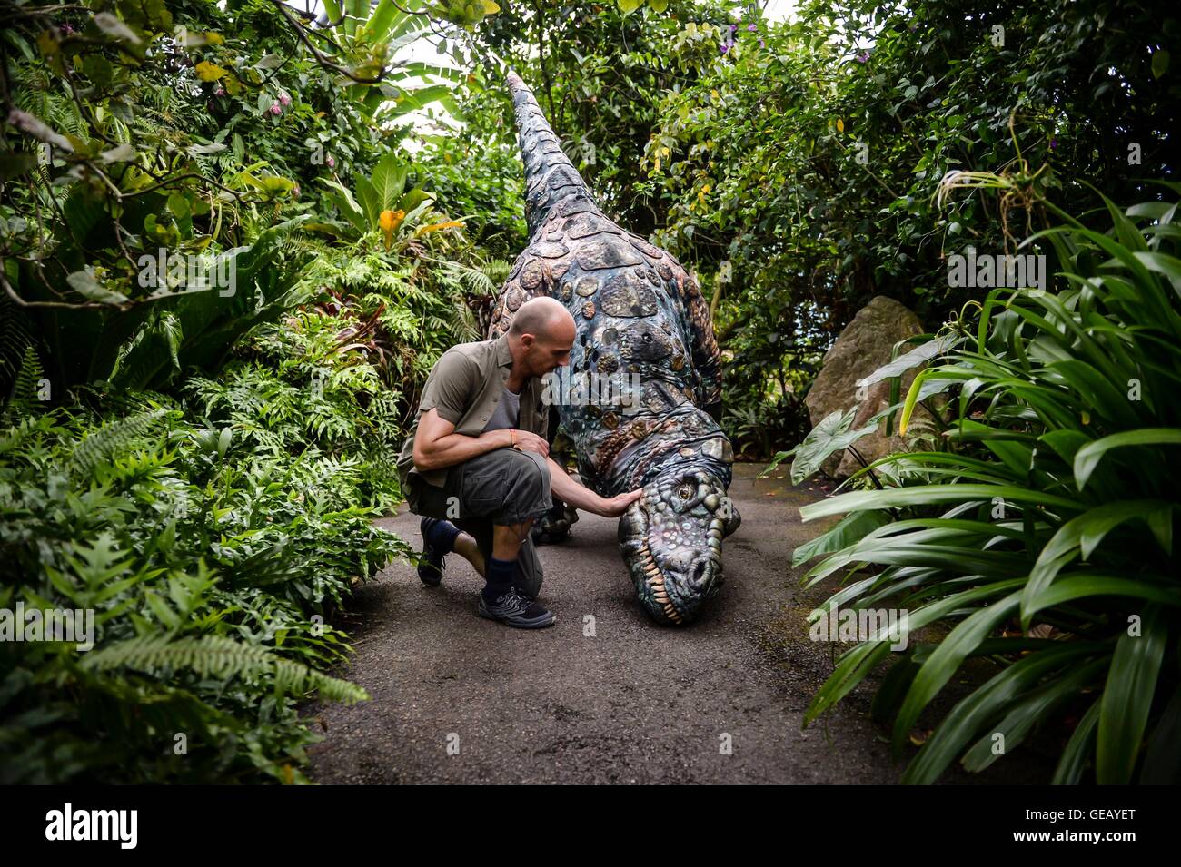 A man strokes a human-operated puppet of a T-Rex dinosaur under the ...