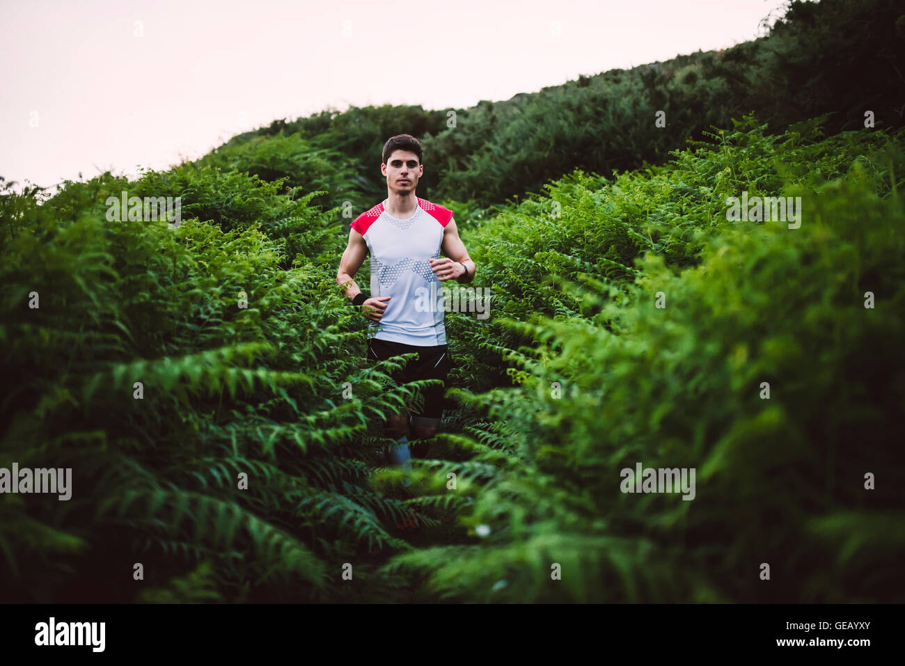 Trail runner, man running Stock Photo - Alamy