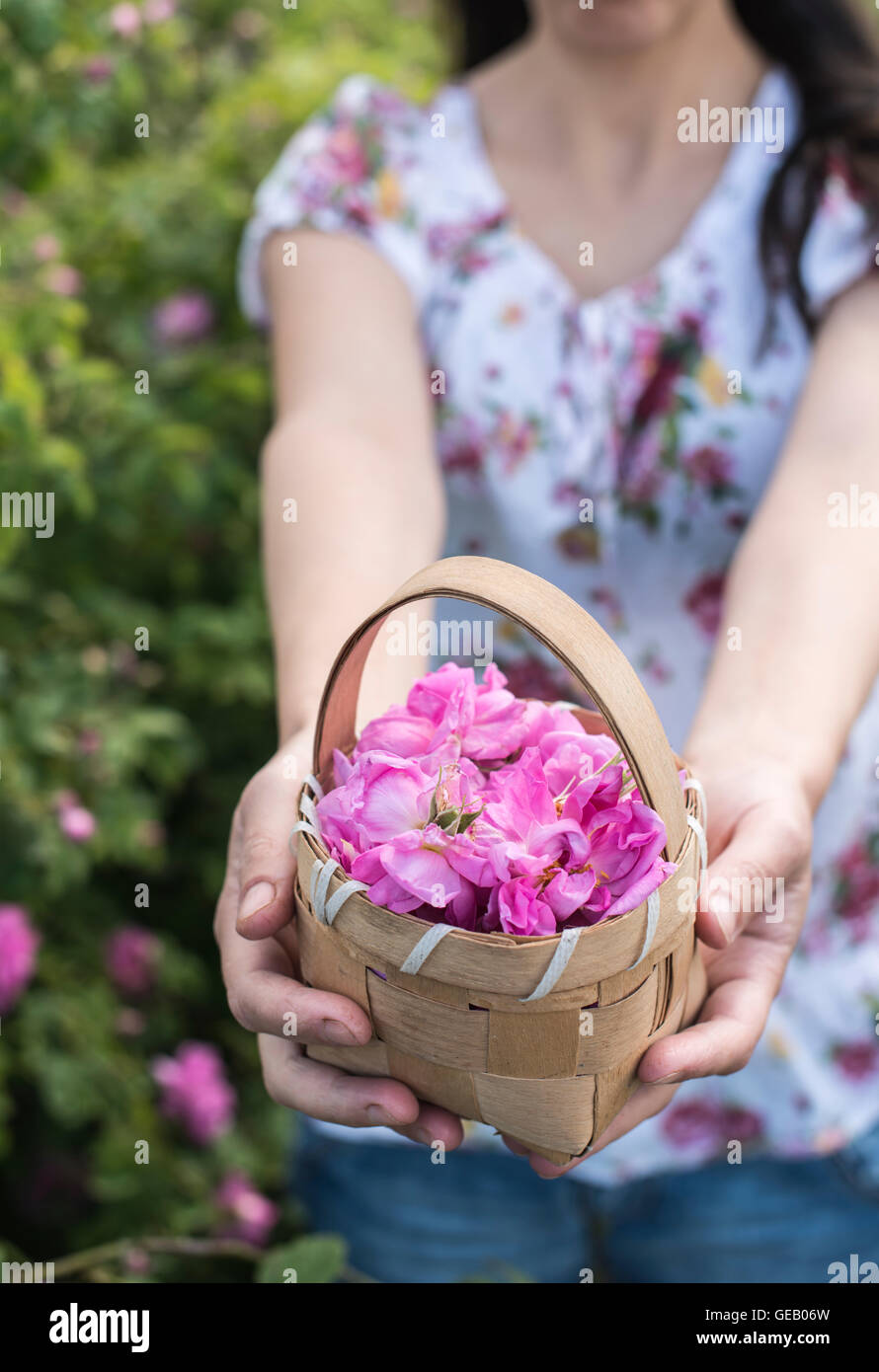 Image showing hand picking hi-res stock photography and images - Alamy