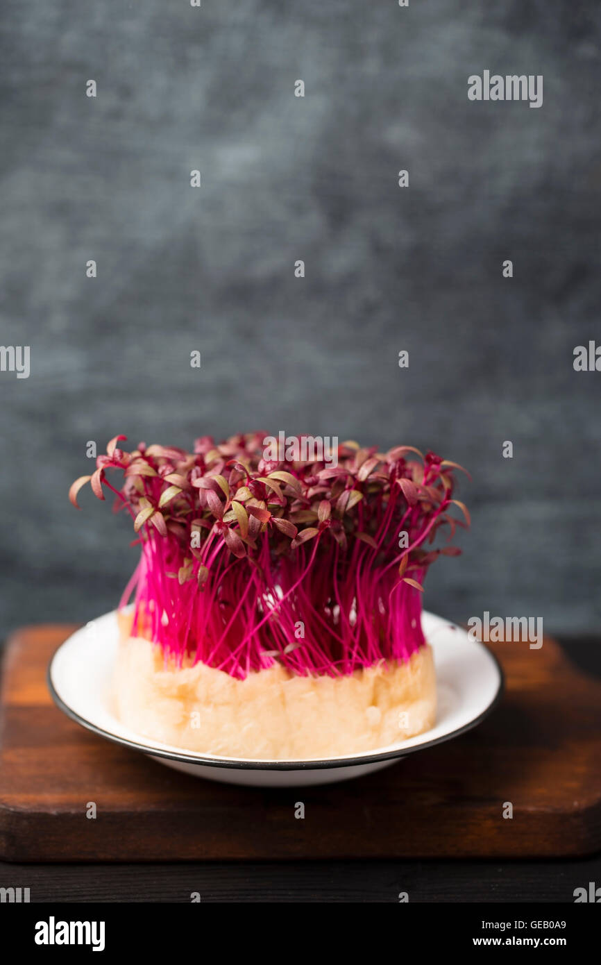 Cress, scarlet cress Stock Photo - Alamy