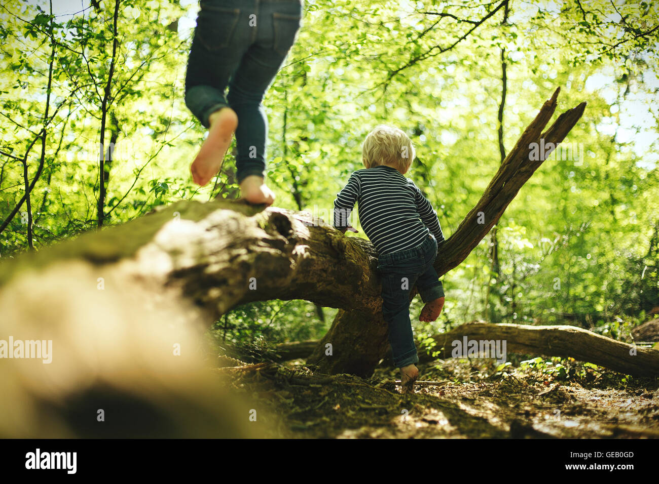 Two children playing in forest Stock Photo - Alamy