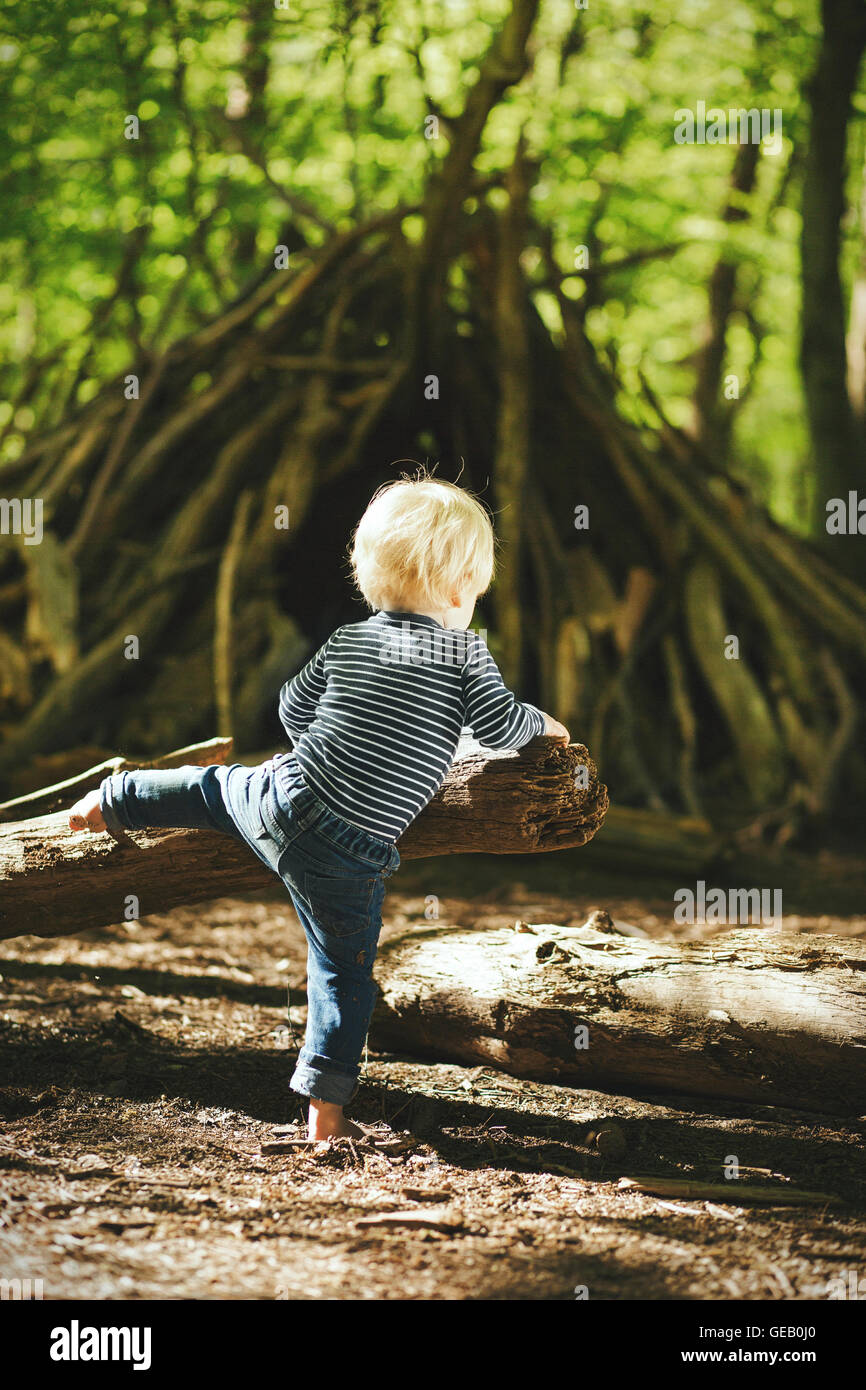 Little boy playing in forest Stock Photo - Alamy