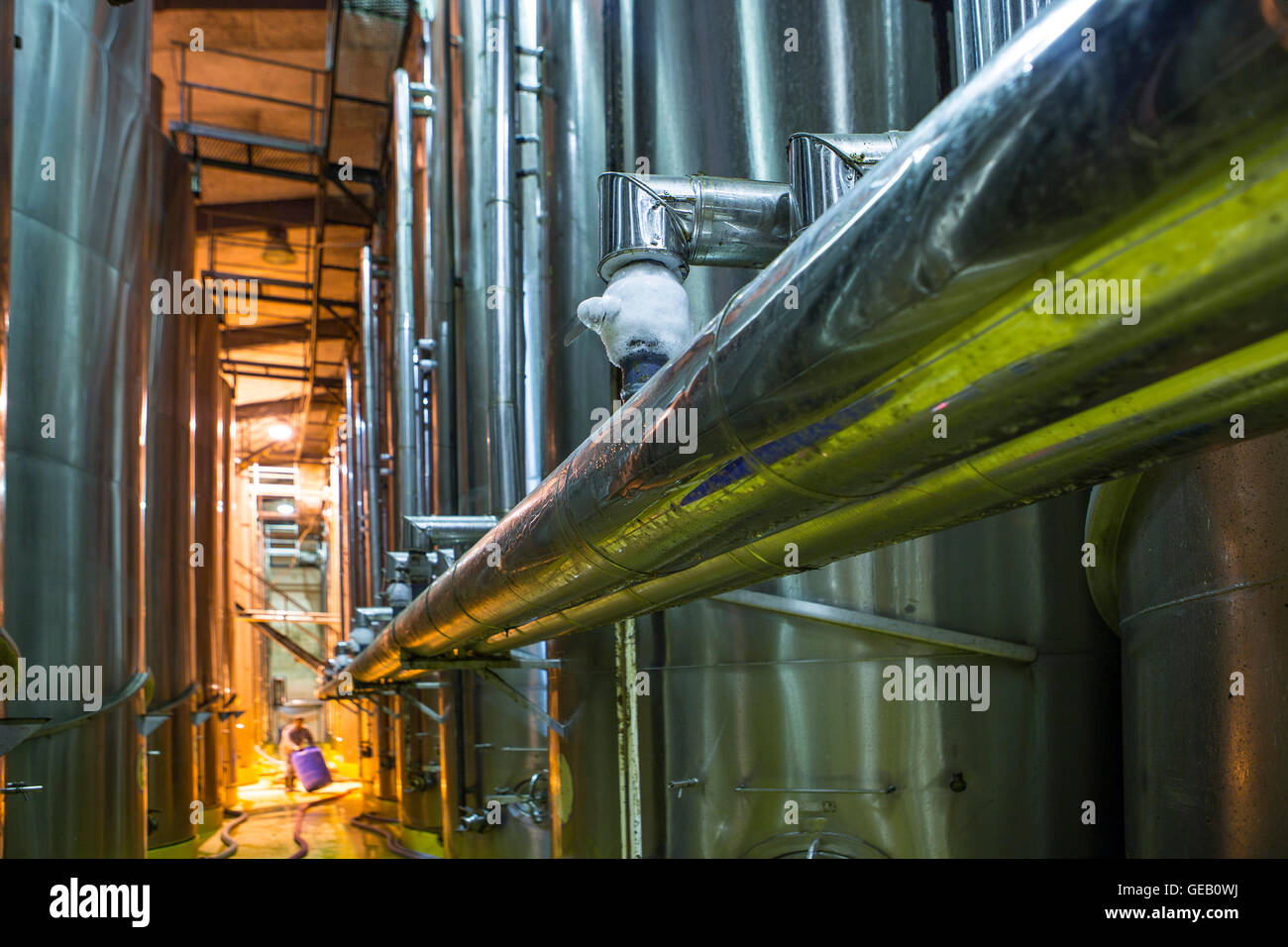 Worker controlling stainless steel tanks for food industry Stock Photo ...