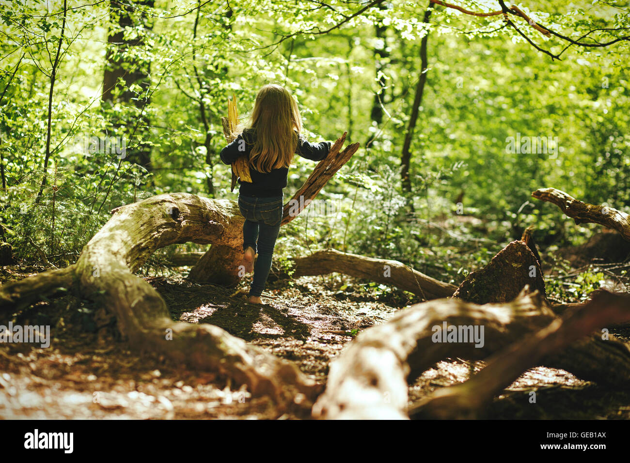 Girl playing in forest Stock Photo - Alamy