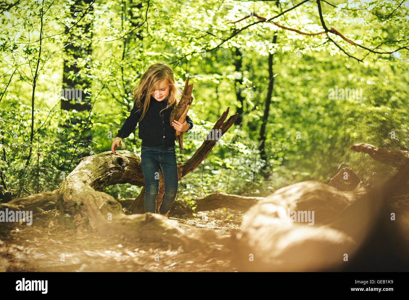 Girl playing in forest Stock Photo - Alamy