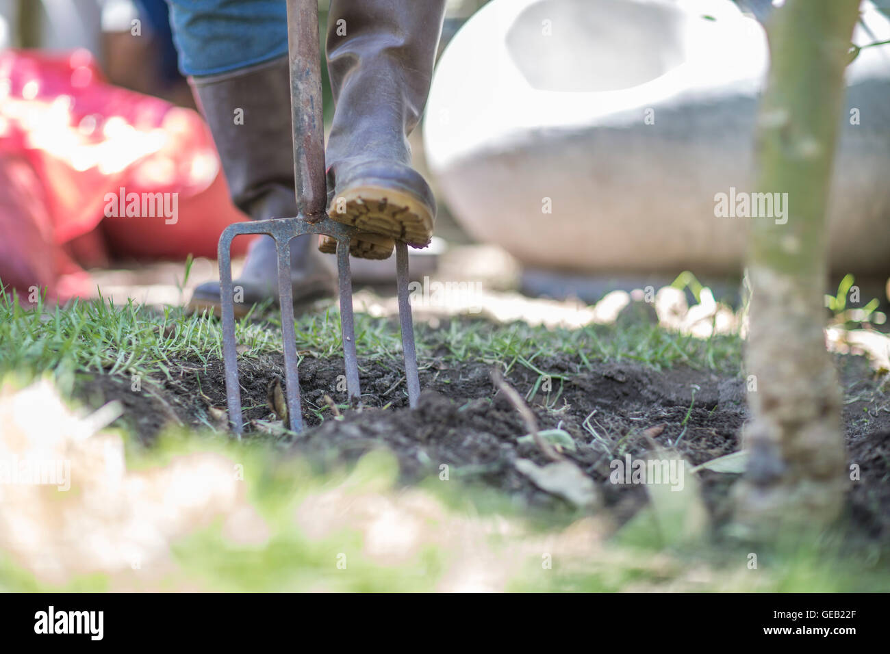 Man garden fork hi-res stock photography and images - Alamy