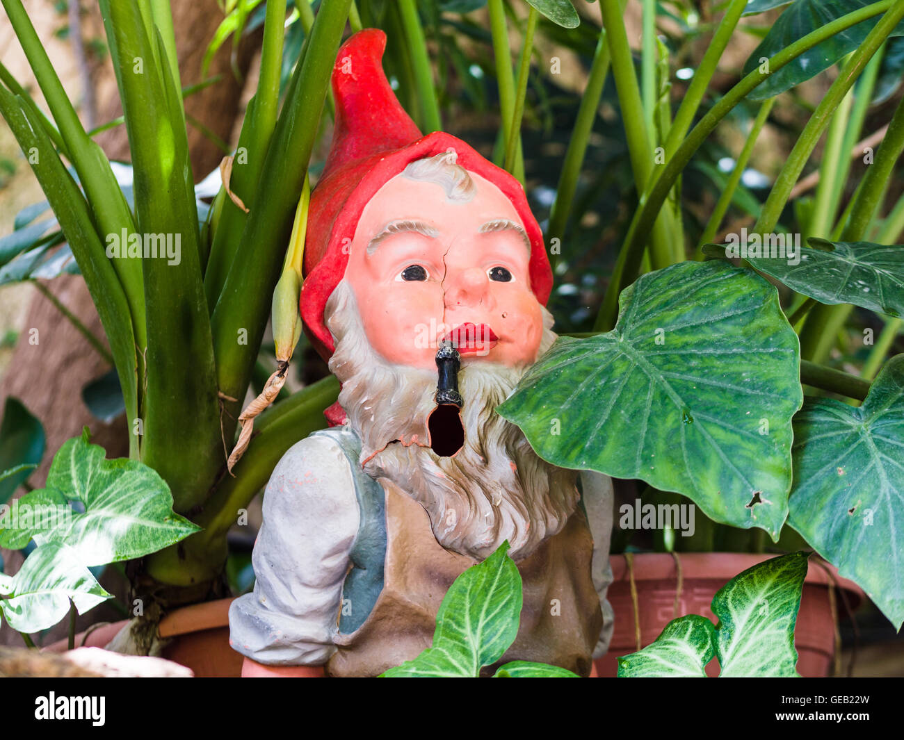 Garden gnome is smoking a pipe Stock Photo - Alamy
