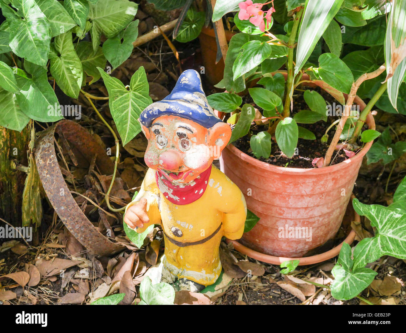 Garden gnome in the bush Stock Photo - Alamy