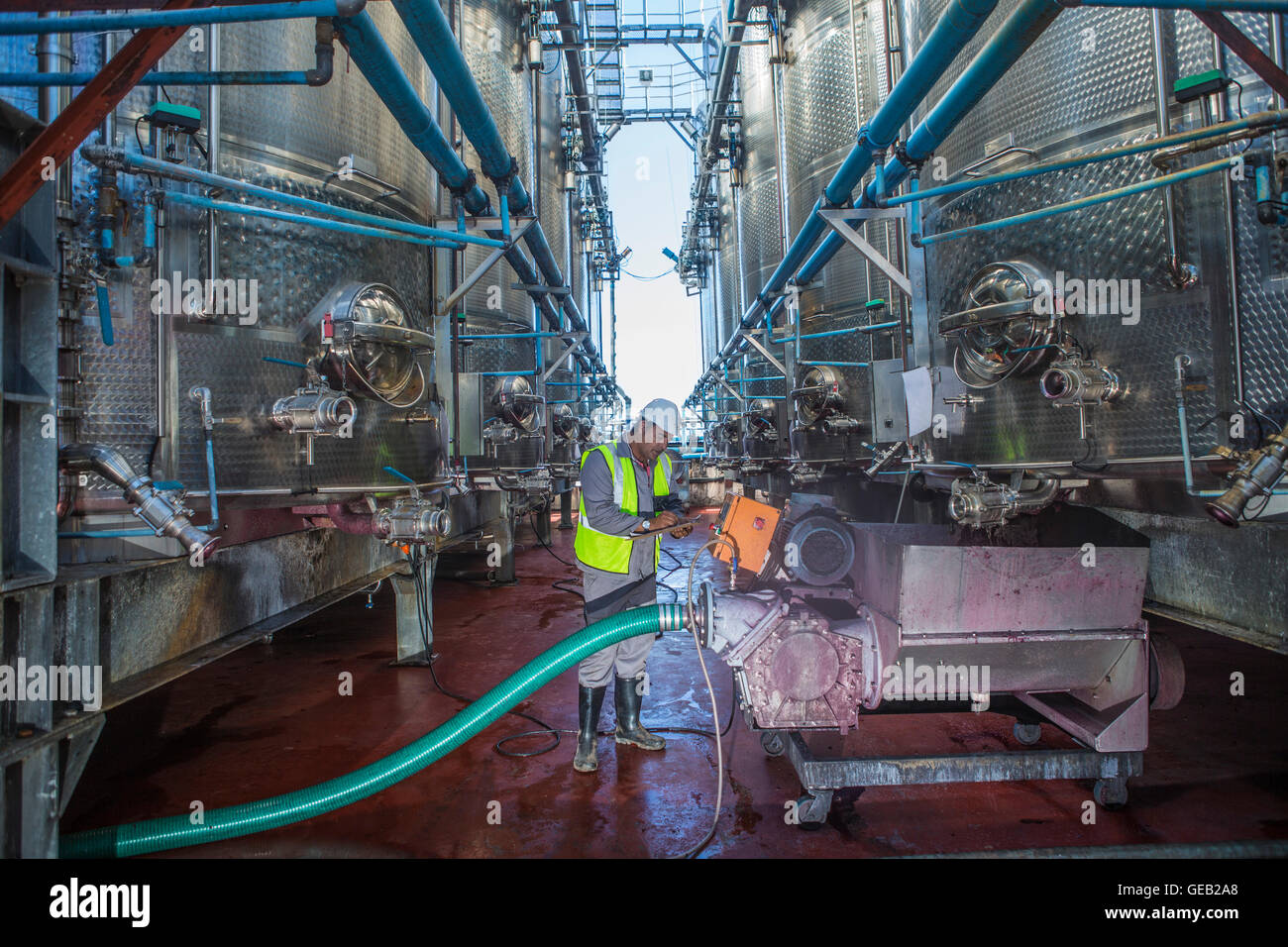 Worker in winery controlling wine tanks Stock Photo - Alamy