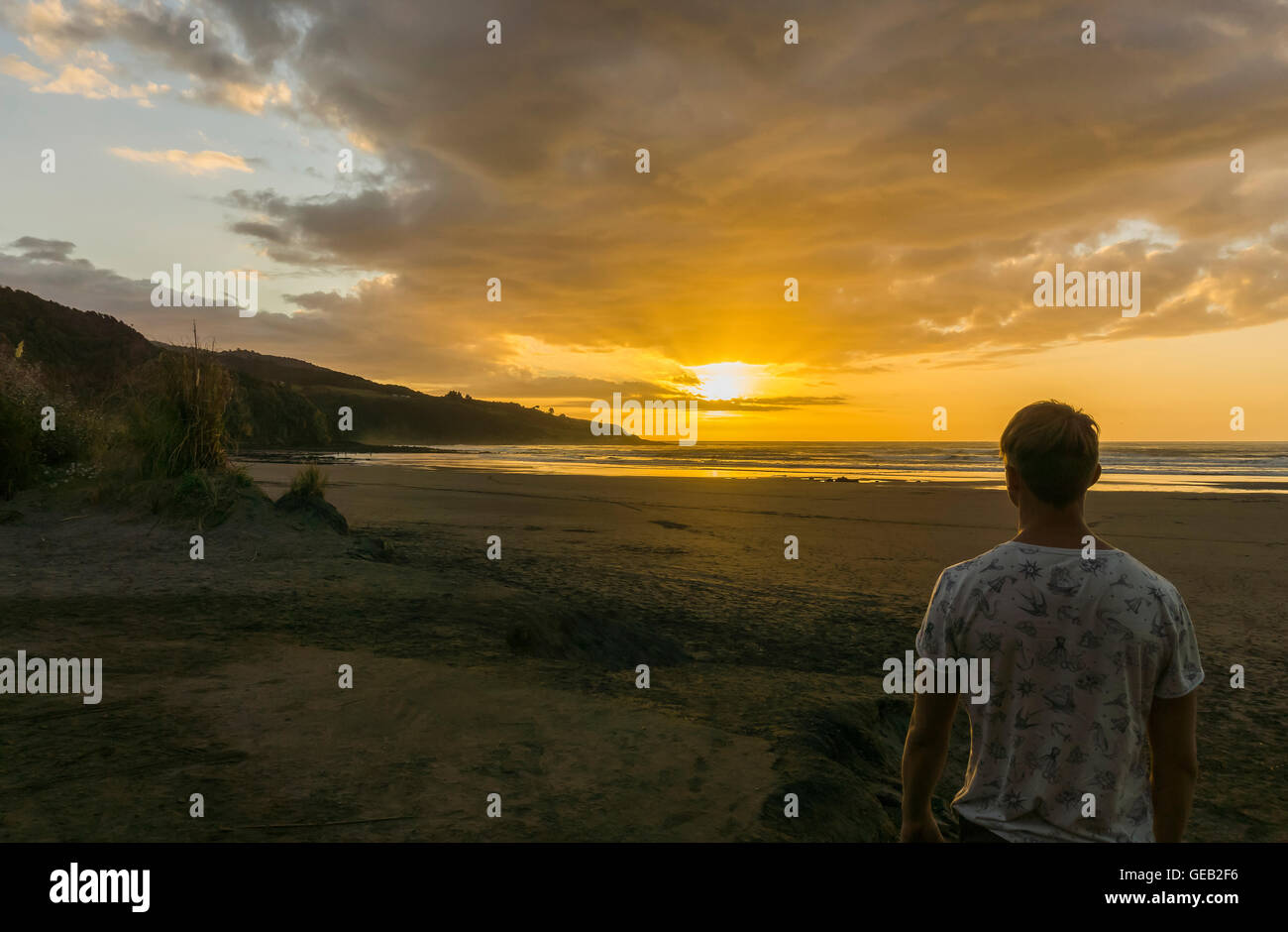 Back view of man sitting on the beach Stock Photo - Alamy