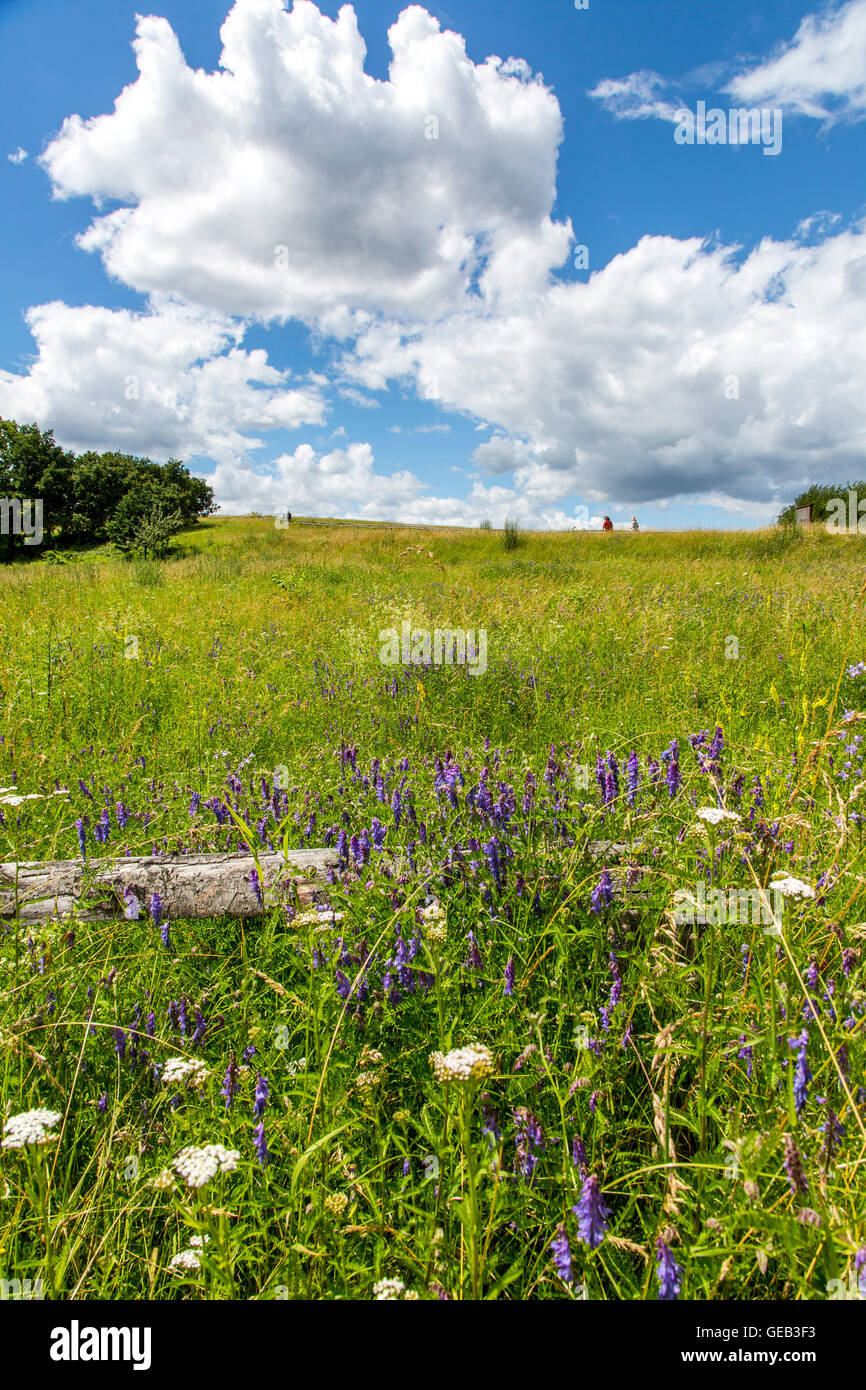 Nature reserve Rodderberg, site of an extinct volcano in the eastern ...