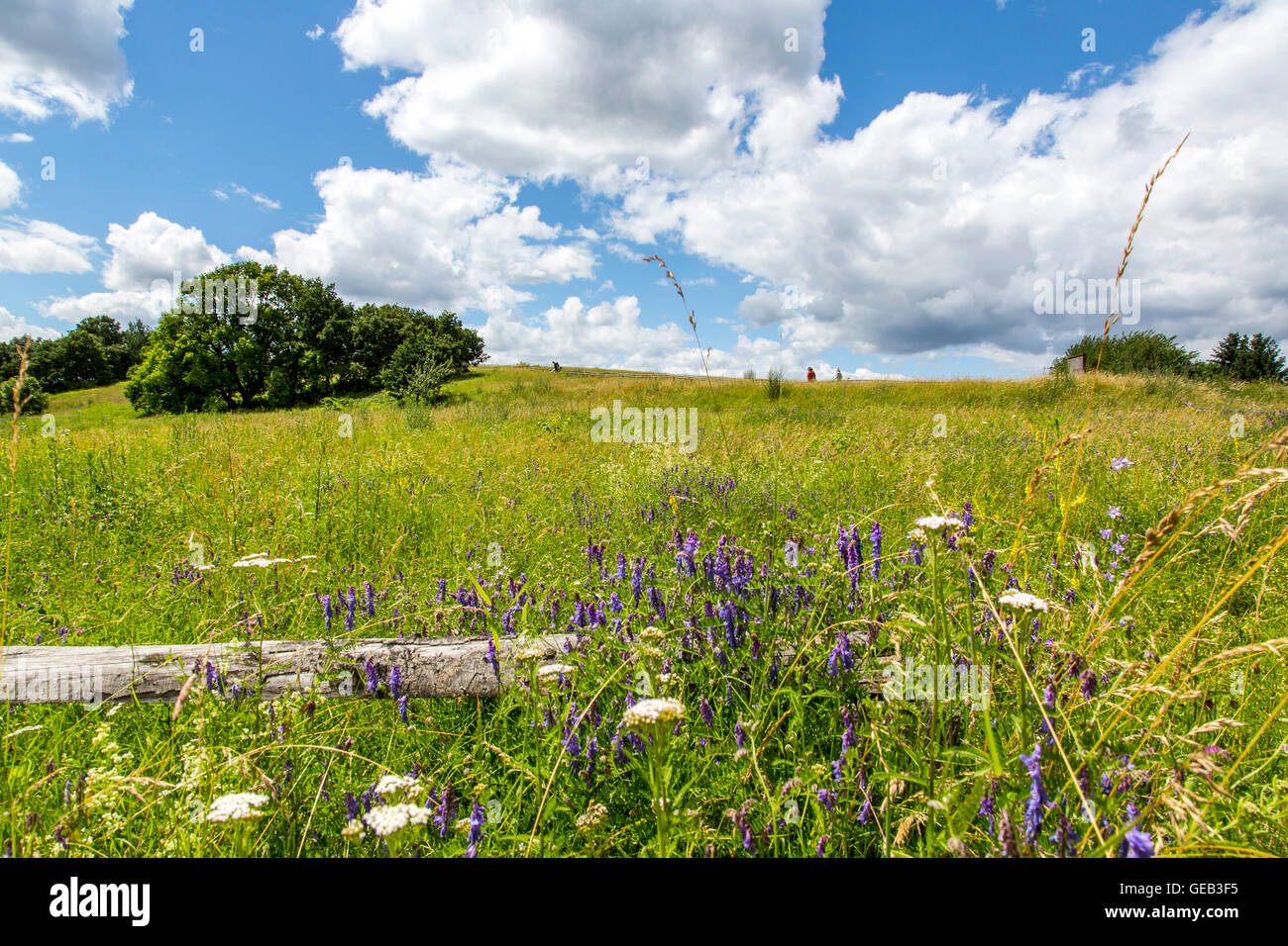 Nature reserve Rodderberg, site of an extinct volcano in the eastern ...