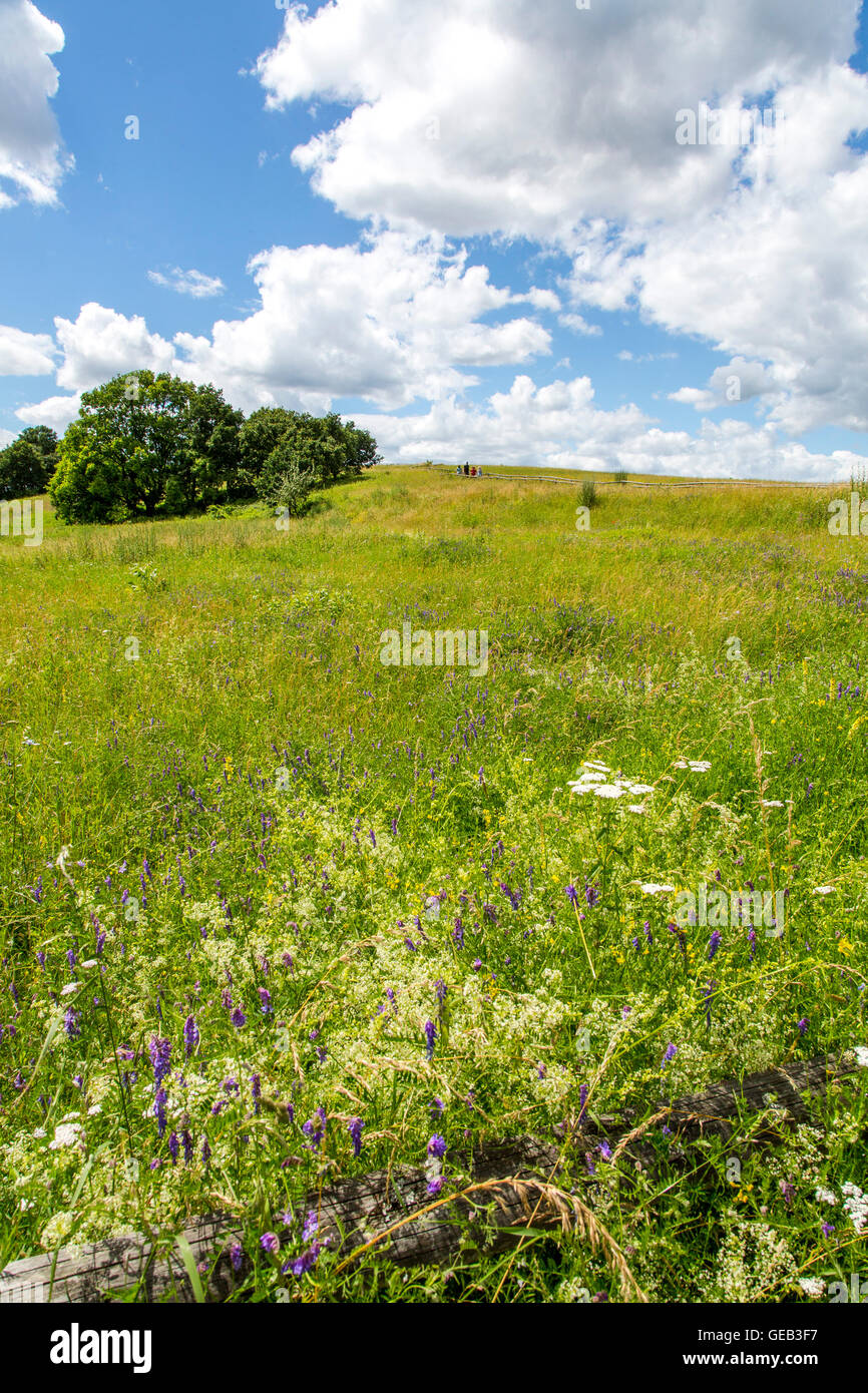 Nature reserve Rodderberg, site of an extinct volcano in the eastern ...