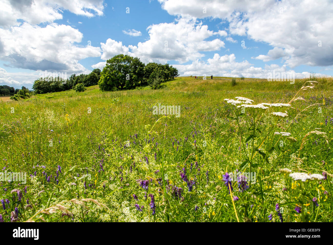Nature reserve Rodderberg, site of an extinct volcano in the eastern ...
