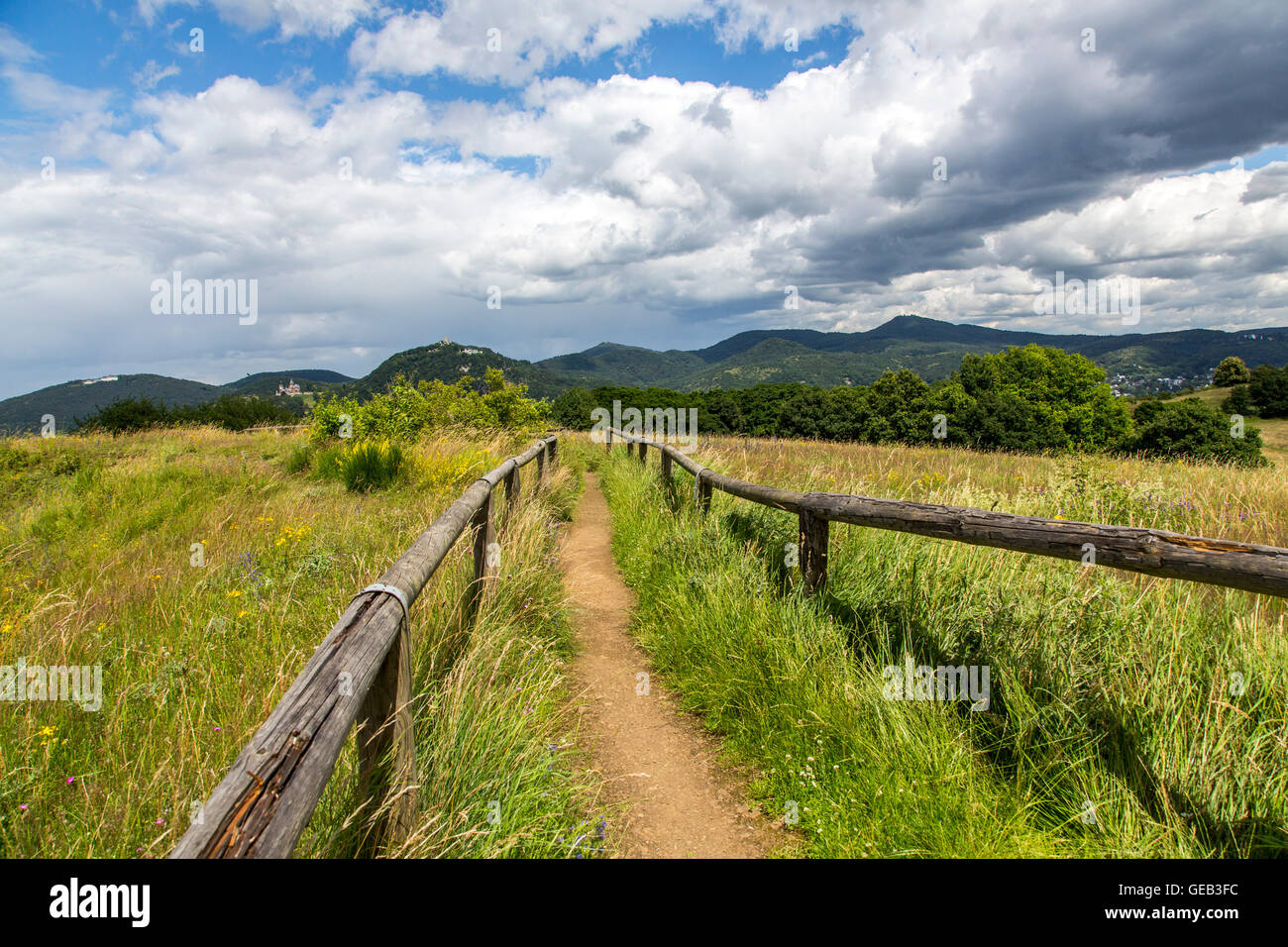 Nature reserve Rodderberg, site of an extinct volcano in the eastern ...
