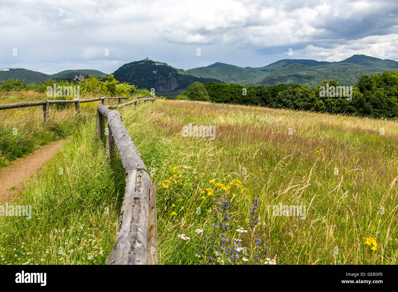 Nature reserve Rodderberg, site of an extinct volcano in the eastern ...