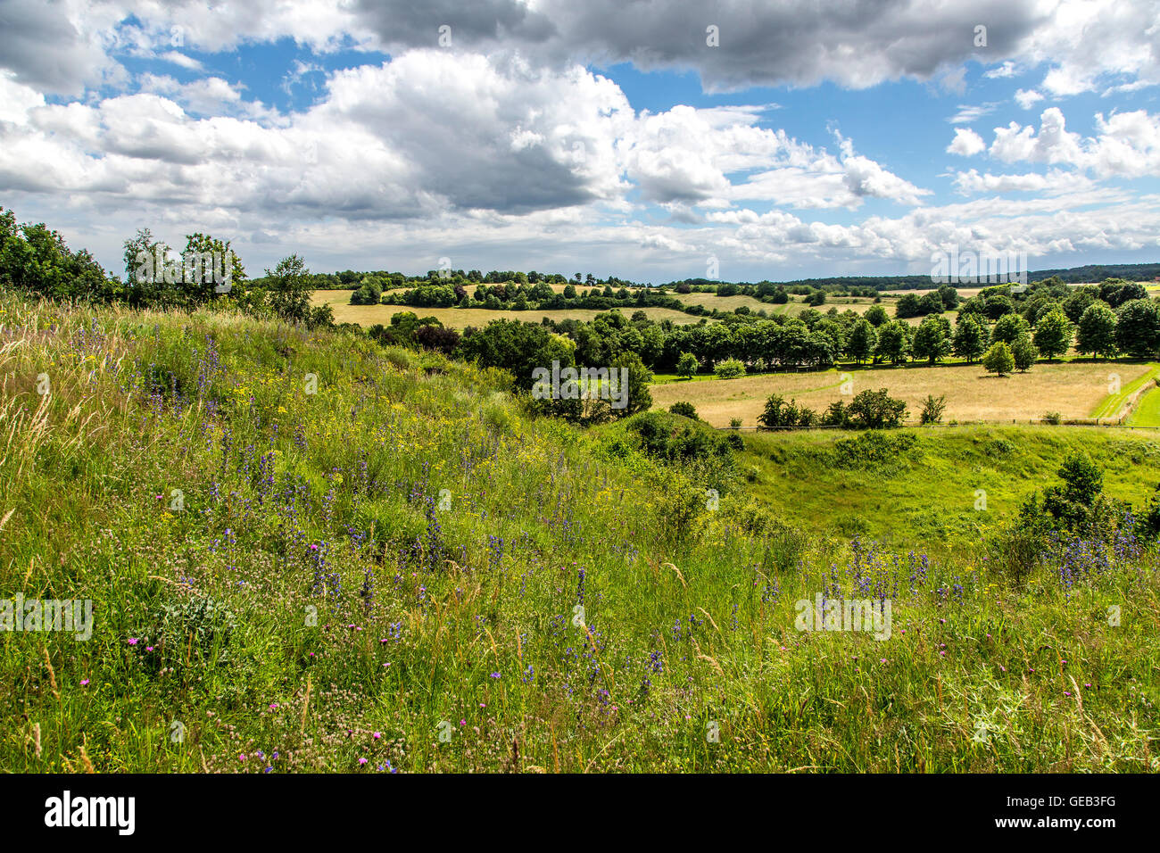 Nature reserve Rodderberg, site of an extinct volcano in the eastern ...