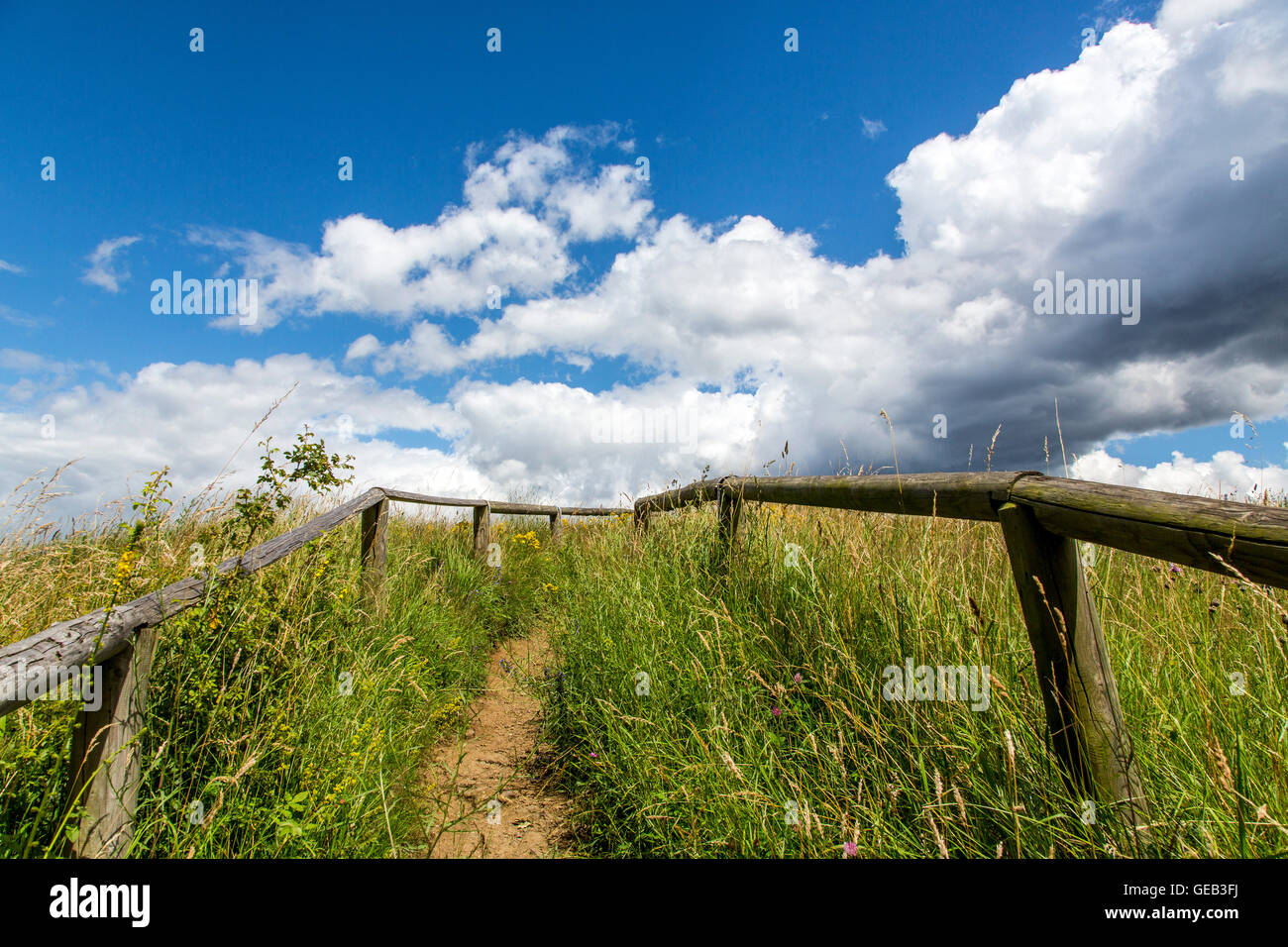 Nature reserve Rodderberg, site of an extinct volcano in the eastern ...