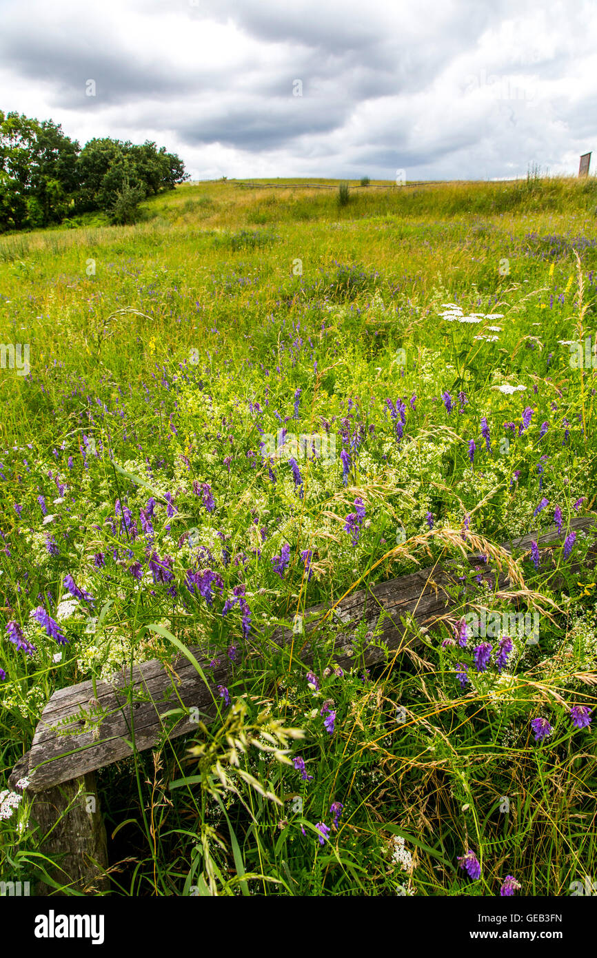 Nature reserve Rodderberg, site of an extinct volcano in the eastern ...