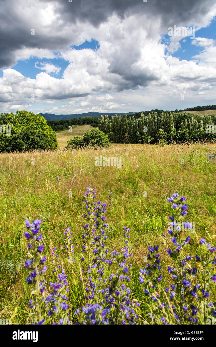 Nature reserve Rodderberg, site of an extinct volcano in the eastern ...