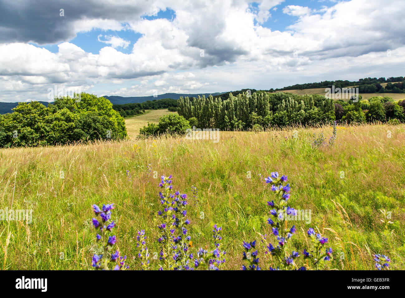 Nature reserve Rodderberg, site of an extinct volcano in the eastern ...