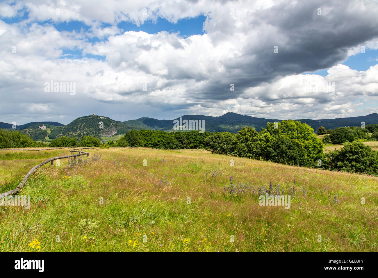 Nature reserve Rodderberg, site of an extinct volcano in the eastern ...