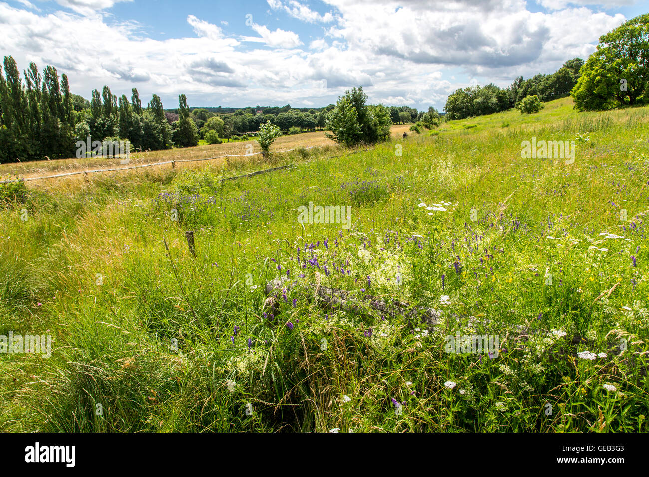 Nature reserve Rodderberg, site of an extinct volcano in the eastern ...