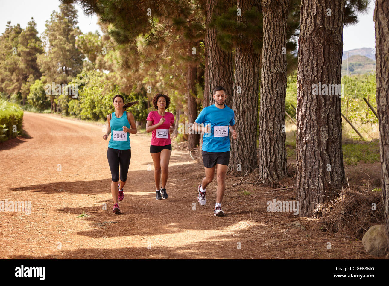 Three runners running a cross country marathon with trees behind them ...