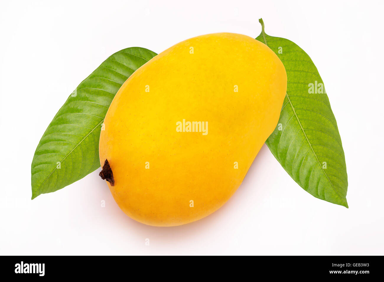 Mango with leaf hi-res stock photography and images - Alamy