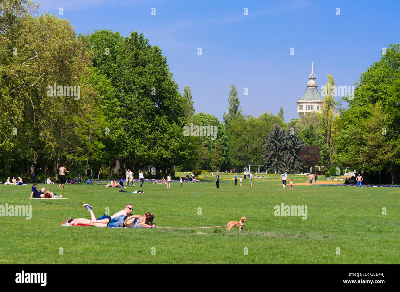 Budapest: Margaret island overlooking the water tower, Hungary ...