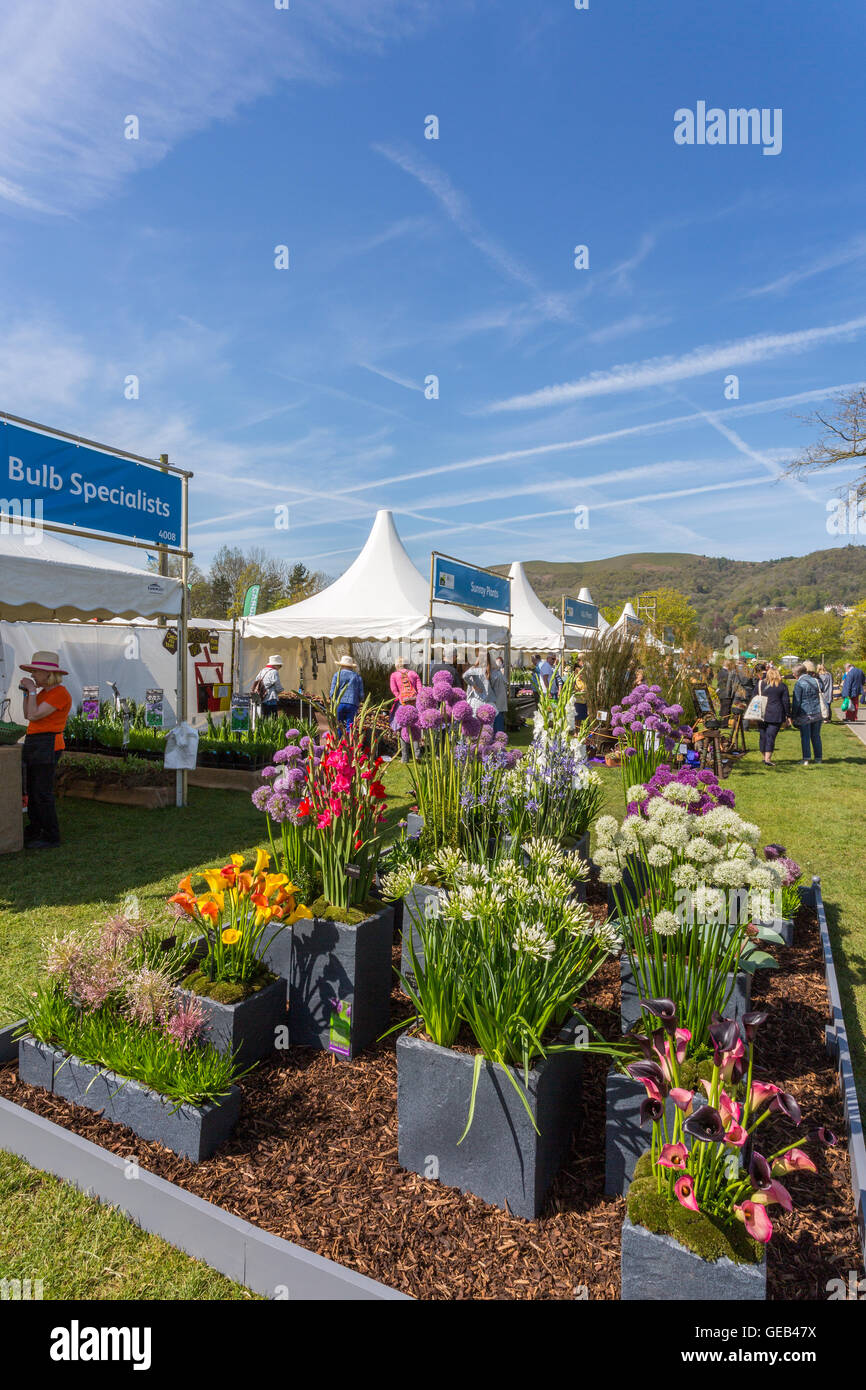 Horticulture show display hi-res stock photography and images - Alamy