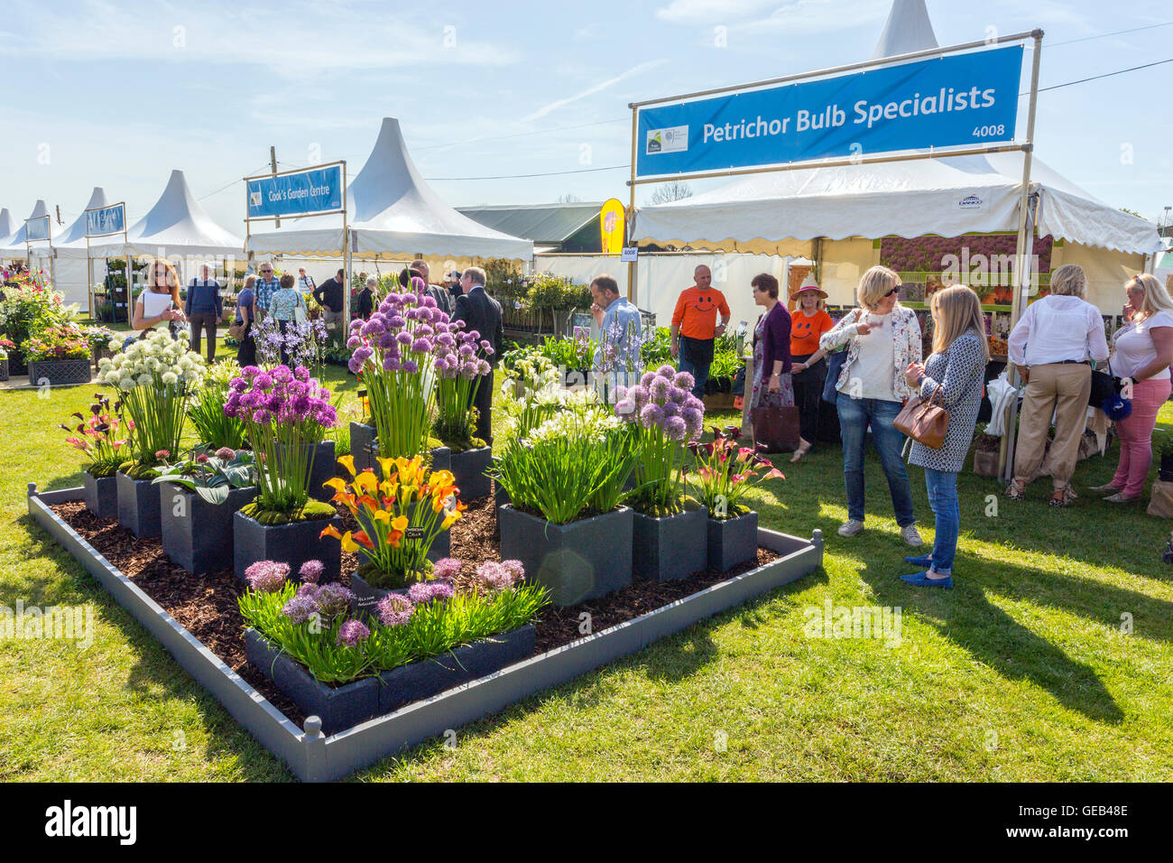 An attractive and colourful display of bulbs at the 2016 RHS Malvern ...