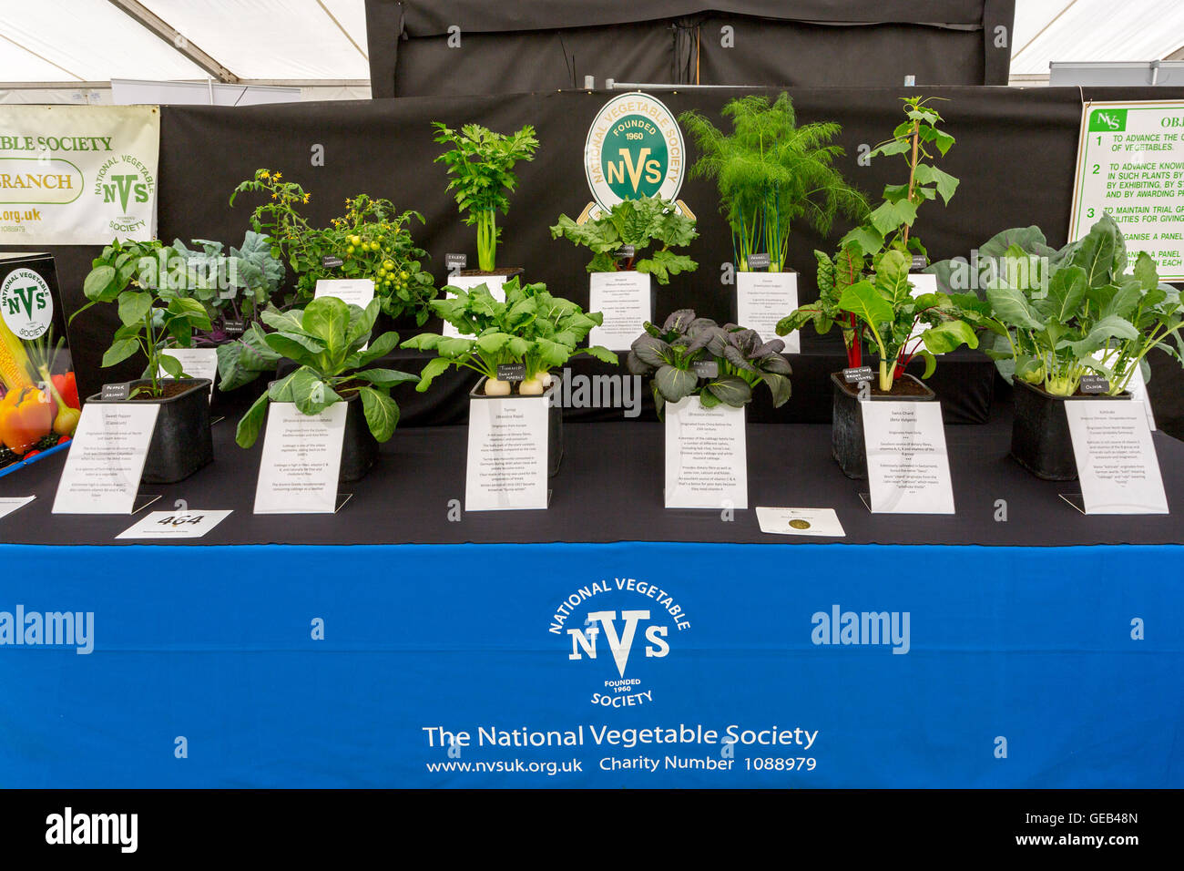 Vegetable display hi-res stock photography and images - Alamy