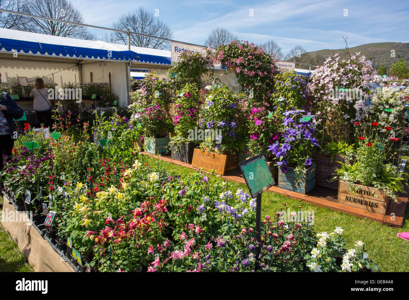 An attractive and colourful display in front of a plant stall at the ...