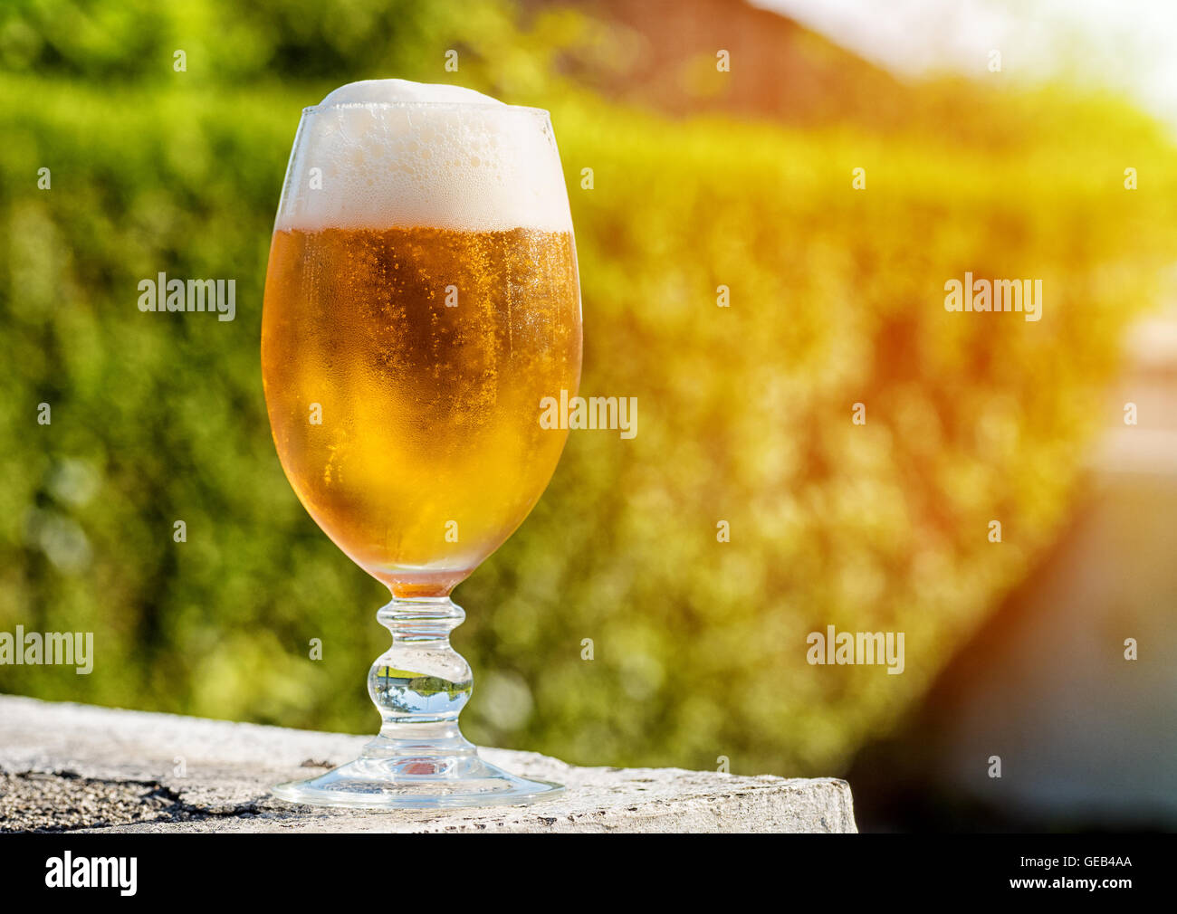 a glass of beer with foam and the sun Stock Photo - Alamy
