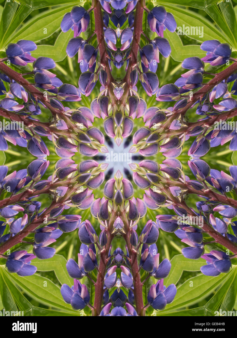 Abstract kaleidoscope background with color pattern Stock Photo - Alamy