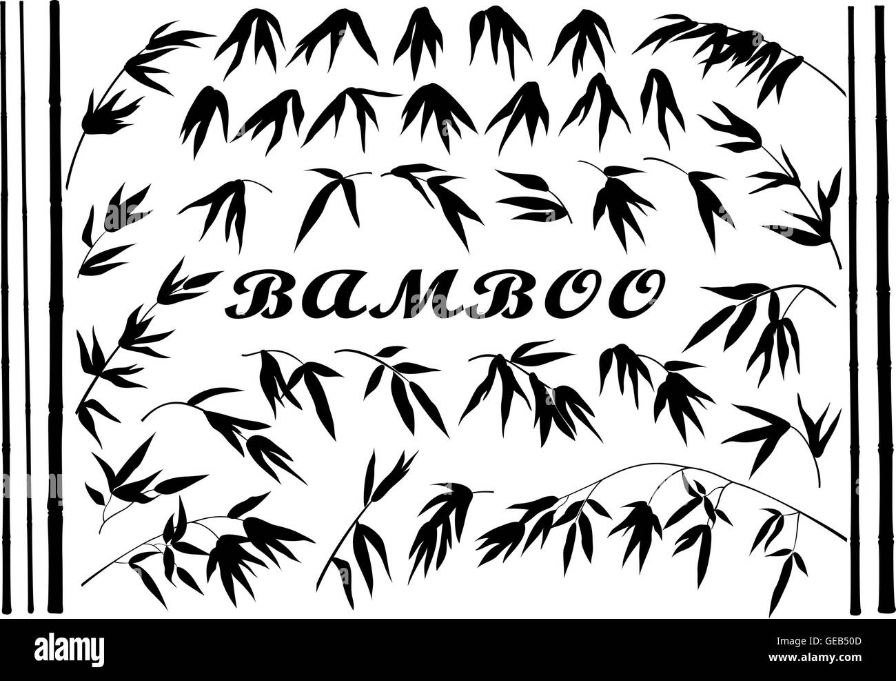 Bamboo stem leaves outline hi-res stock photography and images - Alamy