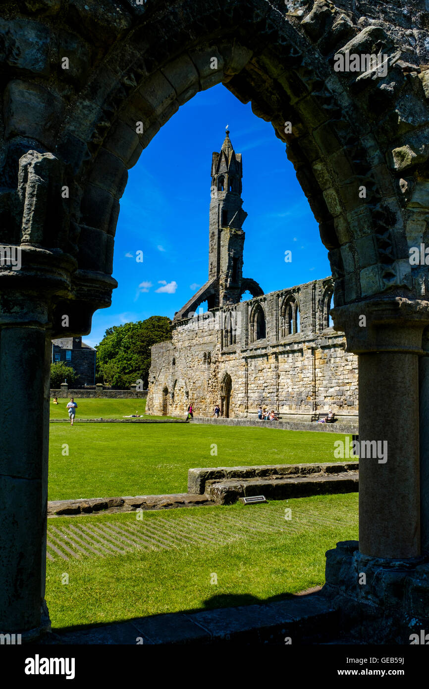 The ruins of St Andrews Cathedral, Fife, Scotland Stock Photo - Alamy