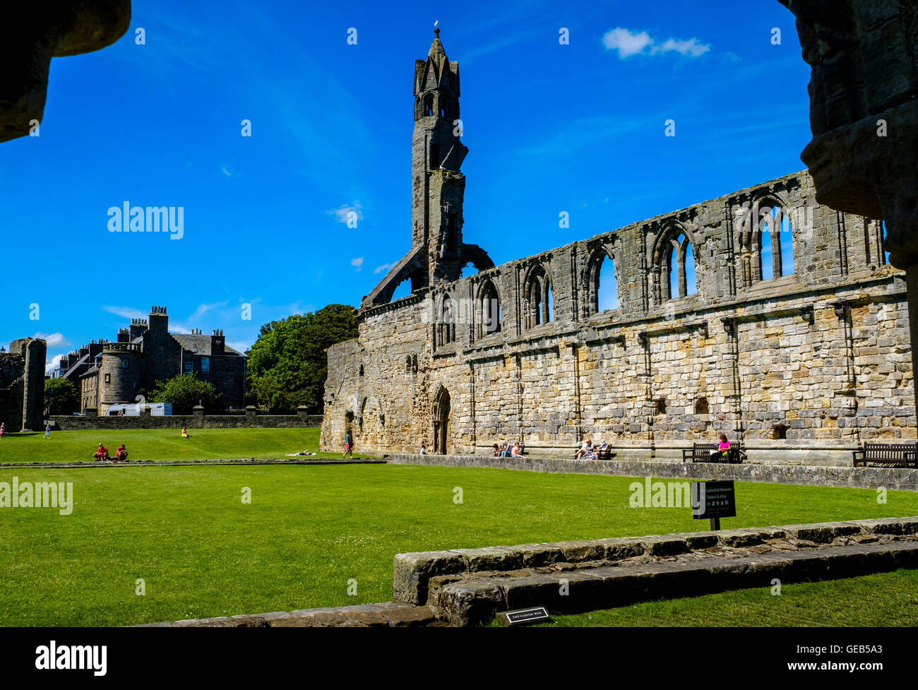 The ruins of St Andrews Cathedral, Fife, Scotland Stock Photo - Alamy