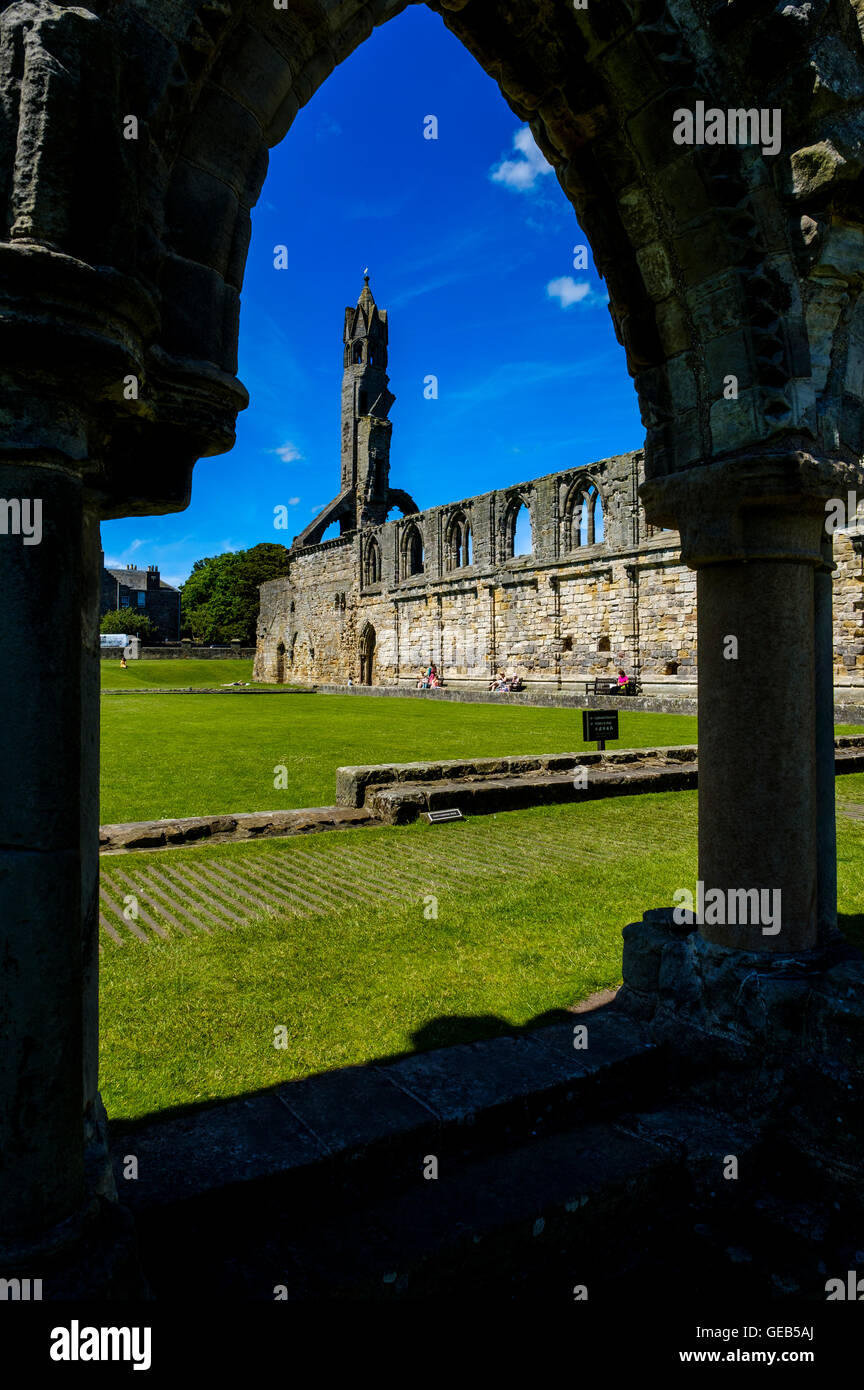 The ruins of St Andrews Cathedral, Fife, Scotland Stock Photo - Alamy