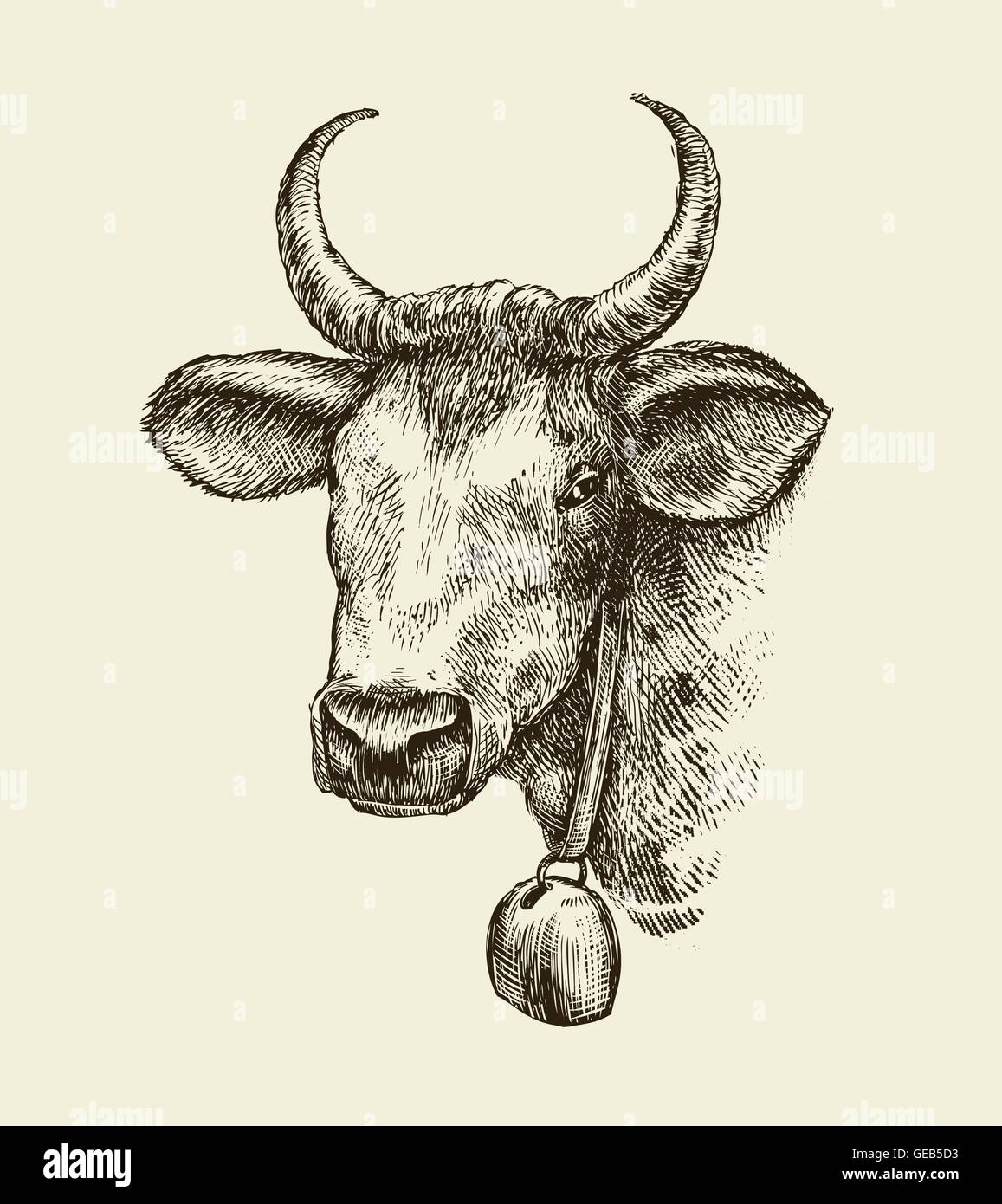 Bull sketch hi-res stock photography and images - Alamy