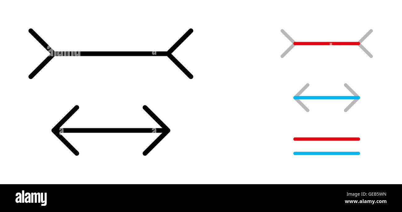 Muller lyer illusion Cut Out Stock Images & Pictures - Alamy