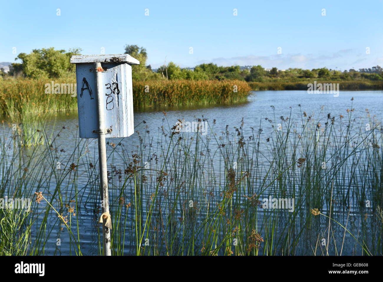 Nesting box at San Joaquin Marsh Reserve in Irvine, California Stock ...