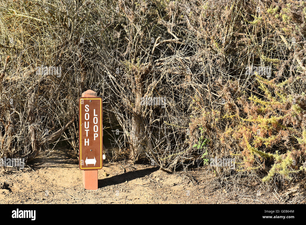 San Joaqin Marsh South Loop Trail Sign. Trails are clearly marked ...
