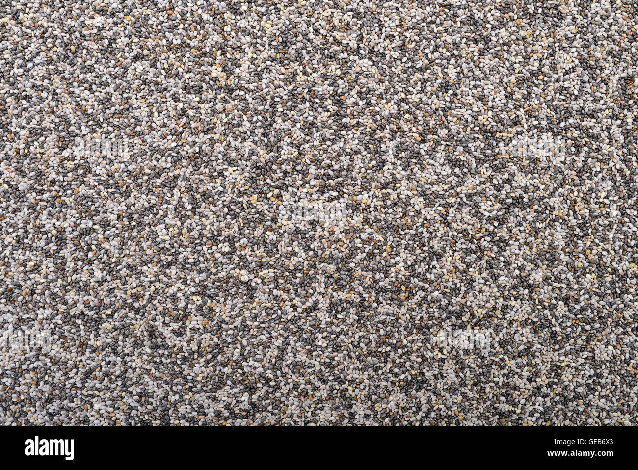 Chia plant hi-res stock photography and images - Alamy